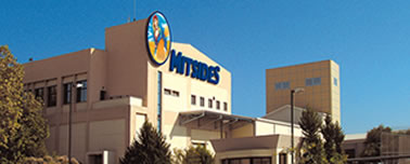 The Group - Mitsides Group